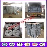 China Anti Climb Galvanized Double Barbed Wire for sale