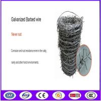 China Anti Climb Galvanized Double Barbed Wire for sale