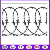 China Anti Climb Galvanized Double Barbed Wire for sale