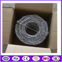 China Hot Dipped Galvanized Double theftproof Barbed Wire for sale