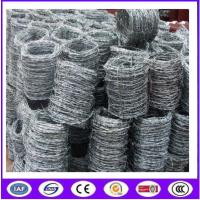China Hot Dipped Galvanized Double theftproof Barbed Wire for sale