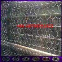 China Road Mesh,Reinforced Hexagonal Wire Netting,Pavement Reinforcement Gab for sale