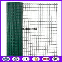 China China ready stock 50 x50 mm euro fence mesh Pvc coating made in china for sale