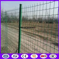 China China ready stock 50 x50 mm euro fence mesh Pvc coating made in china for sale