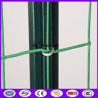 China China ready stock 50 x50 mm euro fence mesh Pvc coating made in china for sale