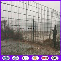 China China ready stock 60x60 mm euro fence mesh Pvc coating made in china for sale