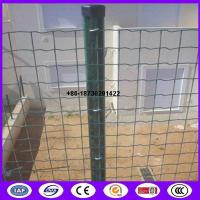 China China ready stock 60x60 mm euro fence mesh Pvc coating made in china for sale
