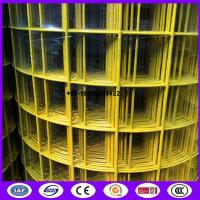 China Yellow color PVC coating Holland wire mesh fence 30mmx30 mm Hole opening ​ in 1.2 meter height for sale