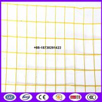China Yellow color PVC coating Holland wire mesh fence 30mmx30 mm Hole opening ​ in 1.2 meter height for sale