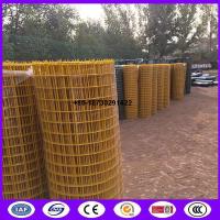 China Yellow color PVC coating Holland wire mesh fence 30mmx30 mm Hole opening ​ in 1.2 meter height for sale