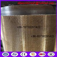 China 110 mesh copper clad steel wire Continous filter belt screens for  Italy screen changer machine for sale