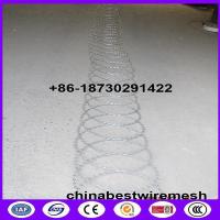 China 500mm coil diameter flat panel razor wire for wall top installation for sale