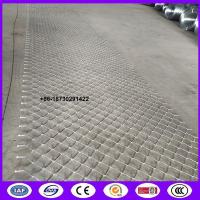 China Hot dipped galvanized Privacy Diamond wire mesh fencing as  wall enclosing house with high security for sale