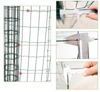 China Holland Mesh Fence Green Garden Fencing Wire Mesh for sale