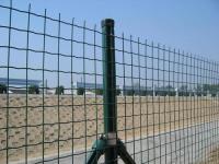 China European Favorite Low Cost Highly Durable Euro Fence for sale