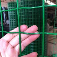 China Holland Wire Mesh, Welded Wire Mesh/Euro Fence for sale