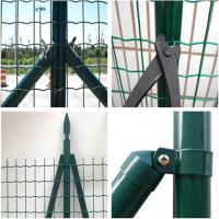 China Holland Wire Mesh, Welded Wire Mesh/Euro Fence for sale