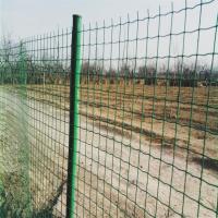 China Holland Wire Mesh in Low Carbon Steel Wire PVC Coated for sale