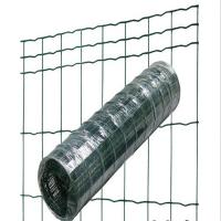 China Holland Welded Wire Mesh for Factory Fencing for sale