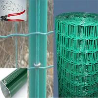 China Highly Durable Garden Euro Fence for sale