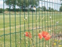 China Garden Green Holland PVC Coated Fence Wire Mesh Cheap Price for sale