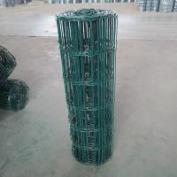 China Garden Holland PVC Coated Fence Wire Mesh for sale