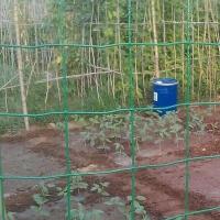 China Anti Corrosion Garden Wire Mesh PVC Coated for sale