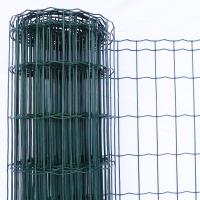 China 100 X 50 mm Green Plastic Coated Holland Garden Wire Mesh for sale