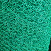 China 30mmx30mm PVC Coated Hexagonal Chicken Wire Mesh for sale