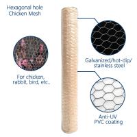 China 25mmx25mm Hexagonal Chicken Wire Mesh for sale