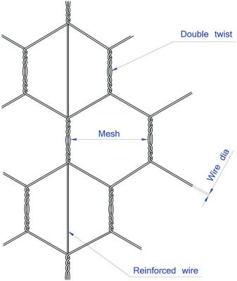 China Hot Dipped Gal Chicken Wire Mesh Hexagonal Wire for sale