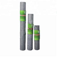 China Hot Dipped Gal Chicken Wire Mesh Hexagonal Wire for sale