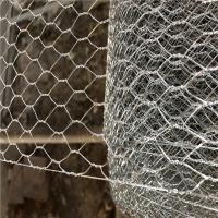 China 3/4-Inch Hot-Dipped Galvanized Chicken Wire Mesh for sale