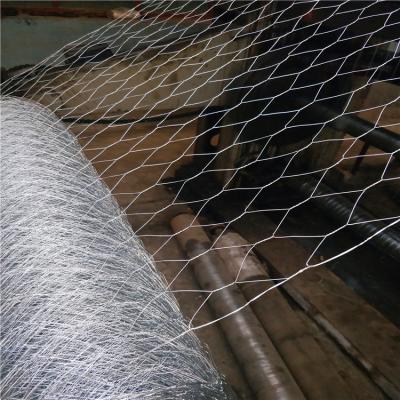 China Electro Gavanized Before Weaving Hexagonal Wire Netting for sale