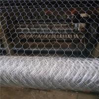 China Electro Gavanized Before Weaving Hexagonal Wire Netting for sale