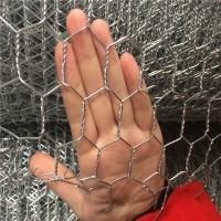 China Hot Dipped Galvanized Wire Chicken Wire Garden Fence for sale