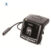 China Portable Veterinary Ultrasound Scanner 5.7