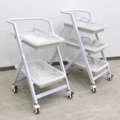 China Mobile Endoscopy Cart 2 Trays 800x510x815mm Stainless Steel Endoscope Trolley for sale