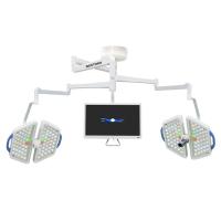 China 4K Medical Surgical Light with Integrated 4MP SDI Camera and 22 Inch Recording Display System for sale