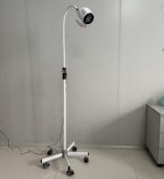 China Portable Flexible Clinical Examination Light 90 CRI LED 50000 Hour Lifespan Adjustable Hose Multi Angle Surgical Diagnostic Lighting for sale