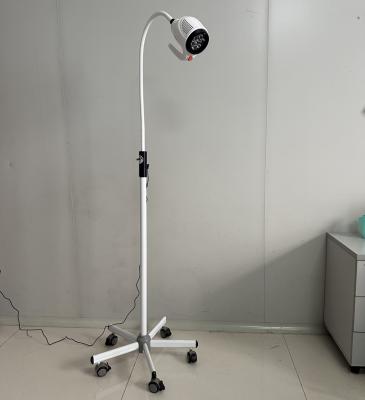 China Portable Flexible Clinical Examination Light 90 CRI LED 50000 Hour Lifespan Adjustable Hose Multi Angle Surgical Diagnostic Lighting for sale