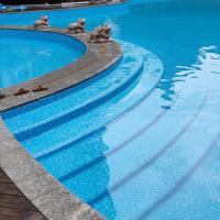 China Coated PVC Pool Liner With Cleartarpaulin Pattern Temperature Resistant Tarpaulin Installation for sale