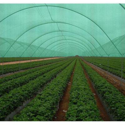 China Durable PVC Tent Fabric Suitable for Outdoor Shelter Construction Waterproof and UV Resistant Material for Long Lasting for sale