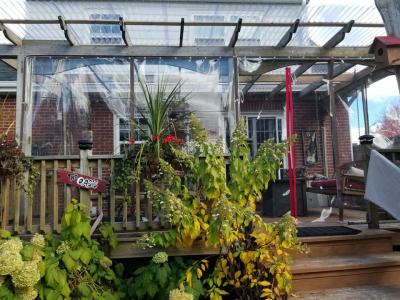 China YITEX FACTORY PVC Transparent Clear Vinyl Tarpaulin Pvc Vinyl With Grommet for sale