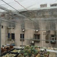 China Clear Removable Anti Slip Protection Film Waterproof Transparent Plastic Cover for Balcony Window Renovation Painting for sale