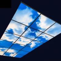 China Recessed Sky Cloud LED Panel Light 2x4ft 2x2ft 1x4ft with 50,000hr Lifespan and 5-Year Warranty for sale