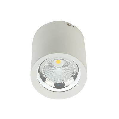 China Aluminum Round Surface Mounted LED Downlight 20° 45° Beam Angle 2700K-6500K 8W-40W for sale