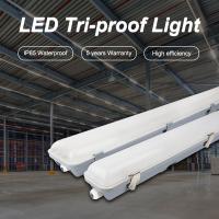China Commercial LED Triproof Light 130lm/W IP65 Waterproof with 50,000hr Lifespan and 5-Year Warranty for sale