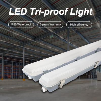 China Commercial LED Triproof Light 130lm/W IP65 Waterproof with 50,000hr Lifespan and 5-Year Warranty for sale