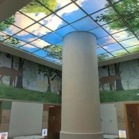 China AC100-240V Flexible LED Strip Lights with 50,000 Hour Lifespan and Aluminum Housing for Indoor Applications for sale